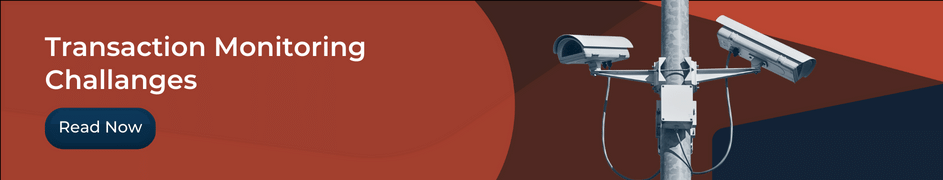 What is Transaction Monitoring (TM) in AML? Transaction Monitoring ...